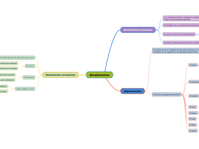 Bioelementos - Mind Map